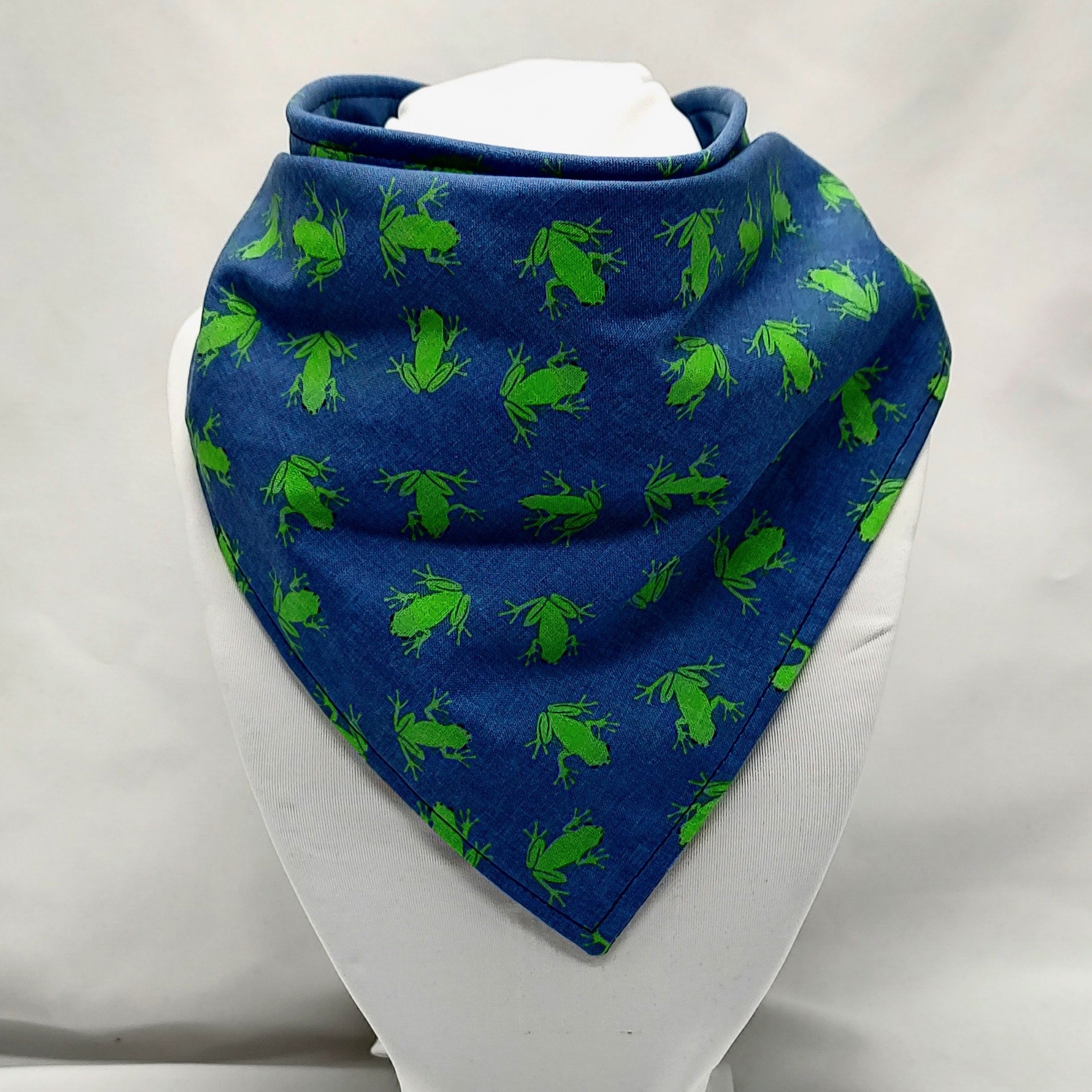 Frogs Bandana Pocket | ByrdBeaks: Pants-Free Pockets and Accessories